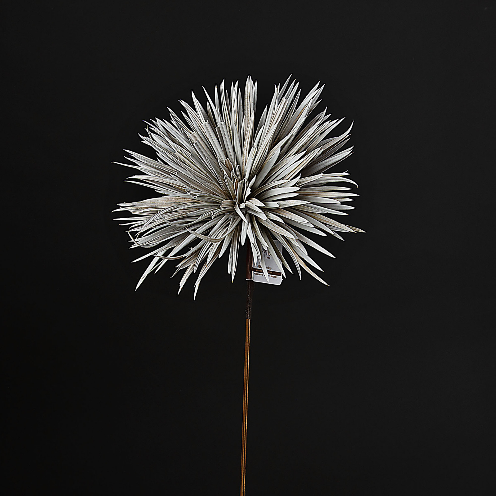 Flor Estrella Achotillo Belinda Flowers Elaborada En Fibra Natural